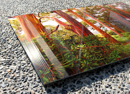 Vancouver Face Mounting Prints On Acrylic/PlexiGlass - Acrylic Face ...